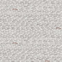 Rugs - Sylvie and Mira